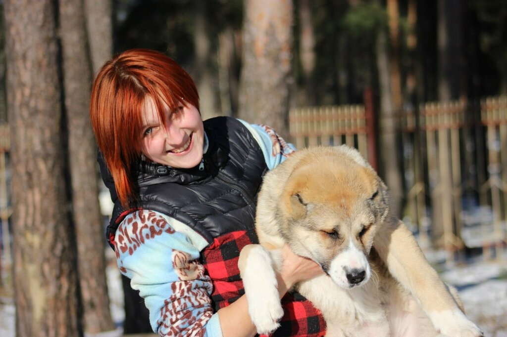 Evcil hayvan yetiştiricileri Русские викинги, Moskova ve Moskovskaya oblastı, foto