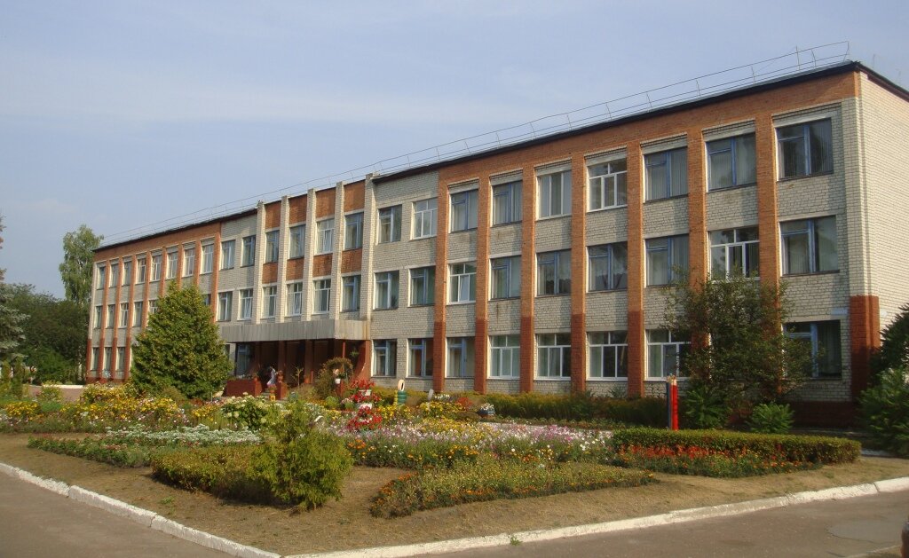 Ortaokul Климовская средняя общеобразовательная школа № 3, Brianskaya oblastı, foto