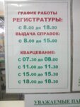 Amursky oblastnoy protivotuberkulezny dispanser (Liteynaya ulitsa No:5), dispanserler  Blagoveshchensk'ten