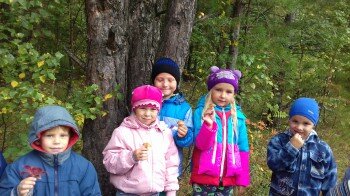 Anaokulları МБДОУ детский сад № 8 Родничок, Sverdlovskaya oblastı, foto