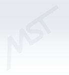 Mst IT GmbH (Vernadskogo Avenue No:103к1), i̇ş güvenliği  Moskova'dan