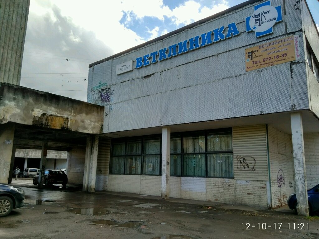 Veteriner klinikleri Cheshirsky Kot, Saint‑Petersburg, foto