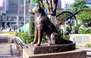 Hachiko (Tokyo Metropolis, Special Ward Shibuya, 道玄坂二丁目), anıt, heykel  Tokyo'dan