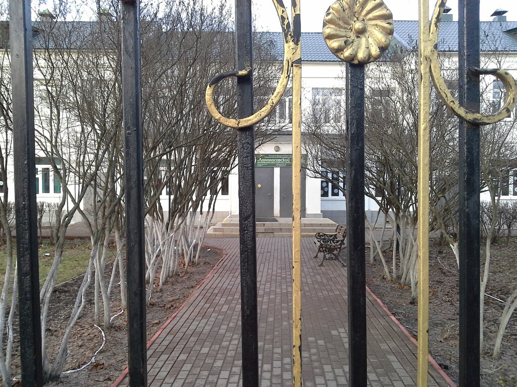 Lise Lomonosovsky litsey, Noginsk, foto