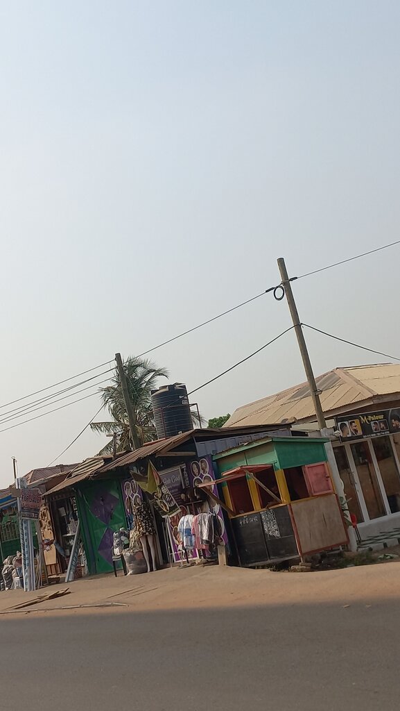 Berberler Mandys palour, Dünya, foto