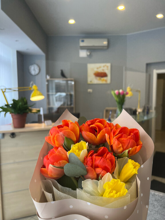 Noterler Notary public, Pakhomov I. V., Saint‑Petersburg, foto