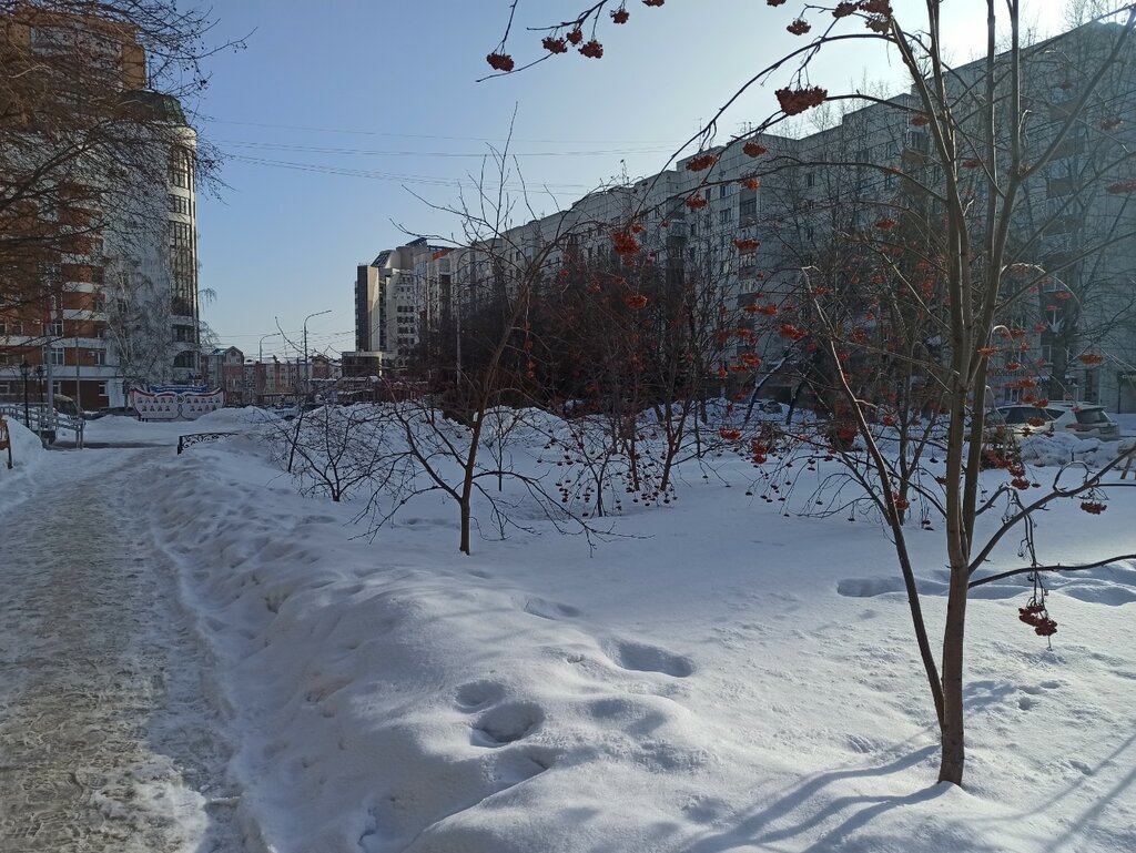 Meydan Сквер Учительской славы Алтая, Barnaul, foto