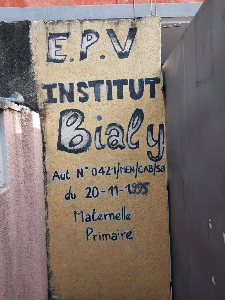 i̇lkokul Bially Institute 2, Abican, foto
