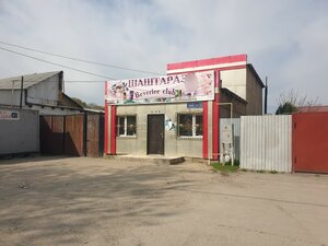 Hair Salon (Abaya Avenue No:370, Taraz), kuaförler  Taraz'dan