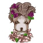 DogClub (Pokatnaya ulitsa No:130/1), evcil hayvan kuaförleri  Novosibirsk'ten