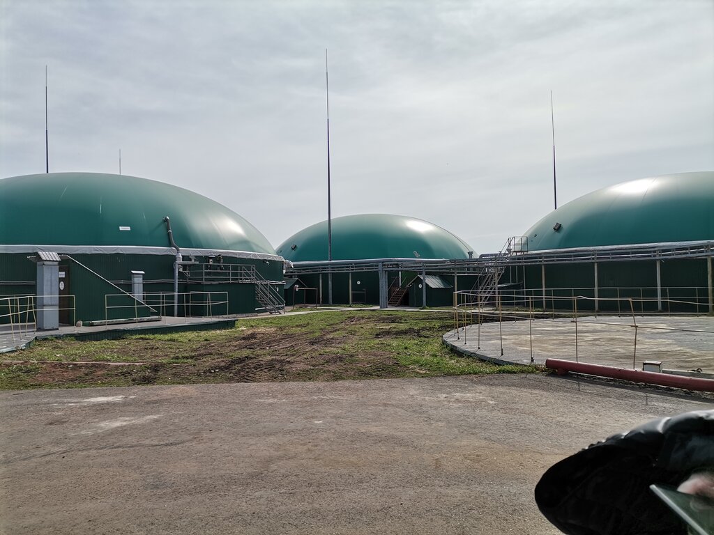 Hayvancılık Мегаферма Актюбинский, Tataristan, foto