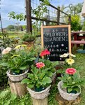 Aya Flower Garden (Chiba Prefecture, Inba District, Town of Sakae), çiçek teslimatı