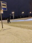 Малиновская улица (St. Petersburg, Pushkin, Malinovskaya Street), toplu taşıma durağı  Puşkin'den