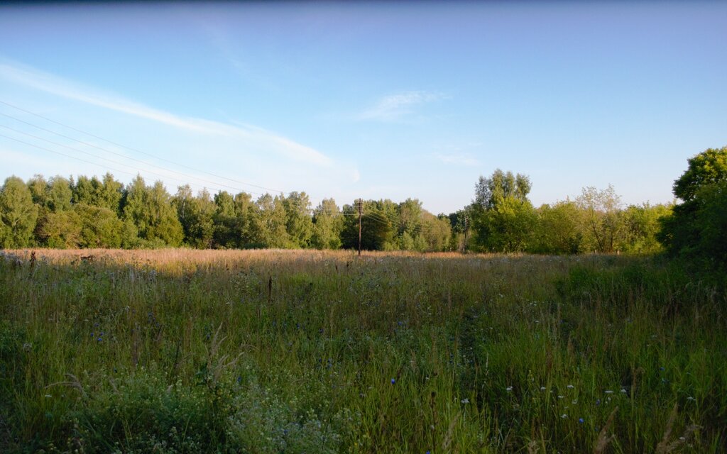 Orman Atemarsky Forest, Mordovya, foto