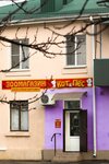 Cat and dog (Proletarskaya Street No:403), petshop  Maykop'tan