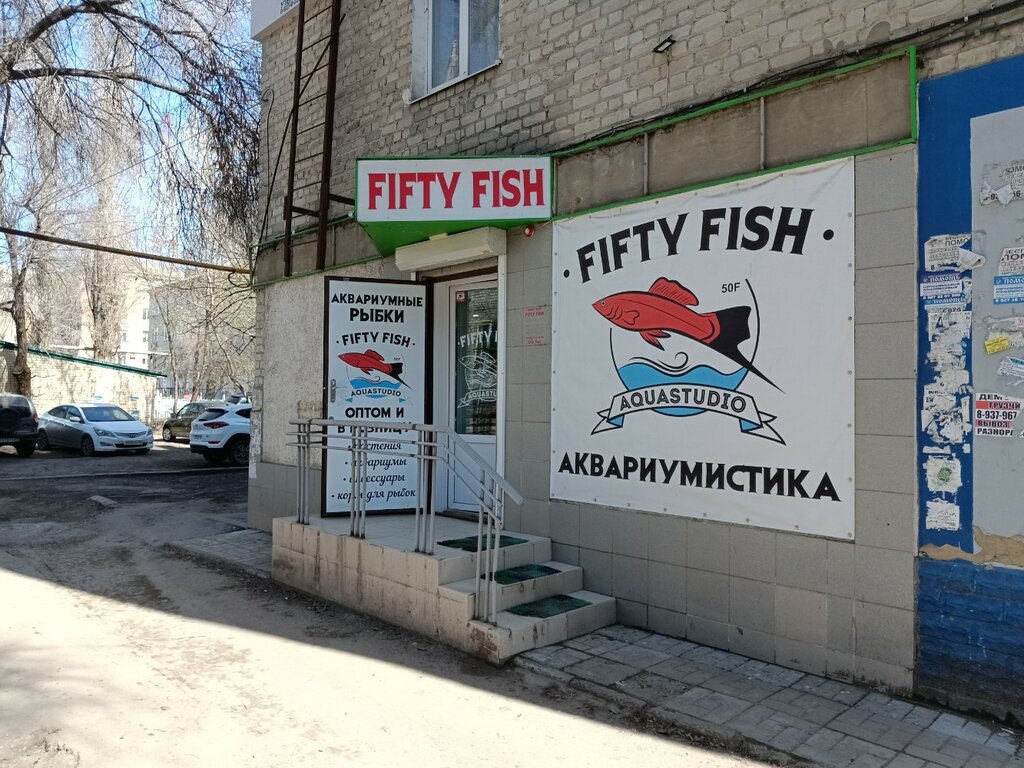 Petshop Аквастудия Fifty Fish, Saratov, foto