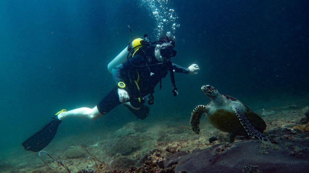 Dalış kulüpleri ve eğitim merkezleri RuDiver, , foto