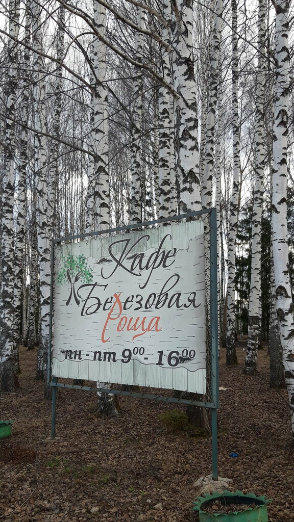Kafe Березовая роща, Kirovskaya oblastı, foto