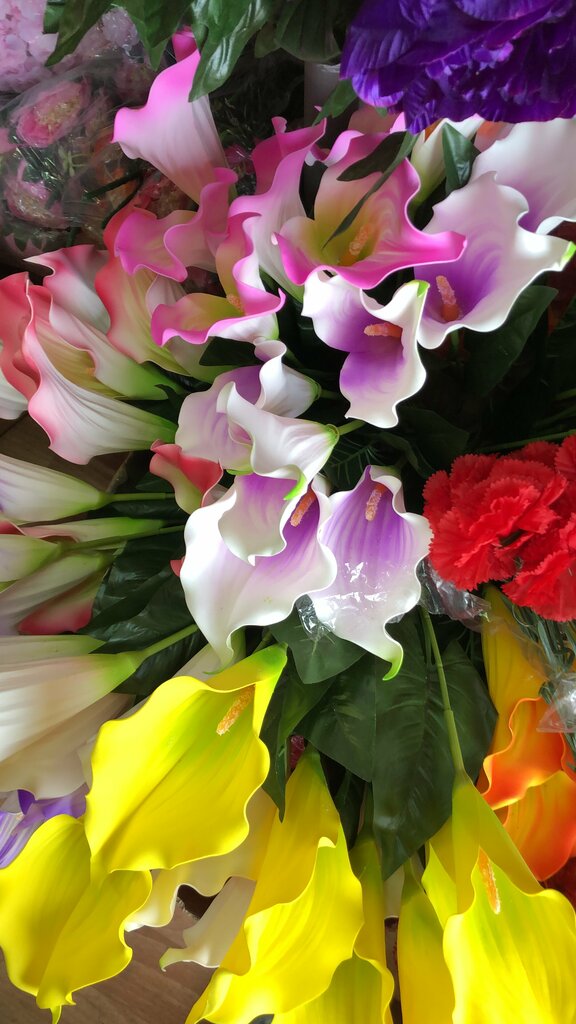 Yapay bitki ve çiçek Искусственные растения и цветы, Krasnoyarsk, foto