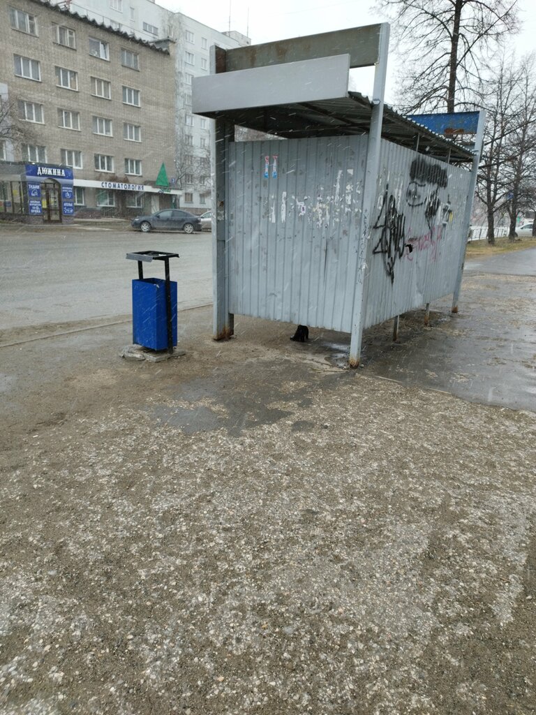 Toplu taşıma durağı Гпту-55, Novosibirsk, foto