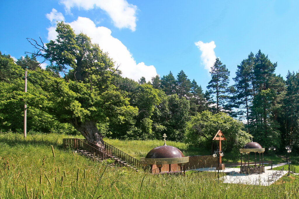 Doğa Старинный дуб преподобного Макария, Tulskaya oblastı, foto