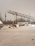 Nord forest (Bobylskaya doroga No:2), kereste üretim ve satış şirketleri  Peterhof'tan