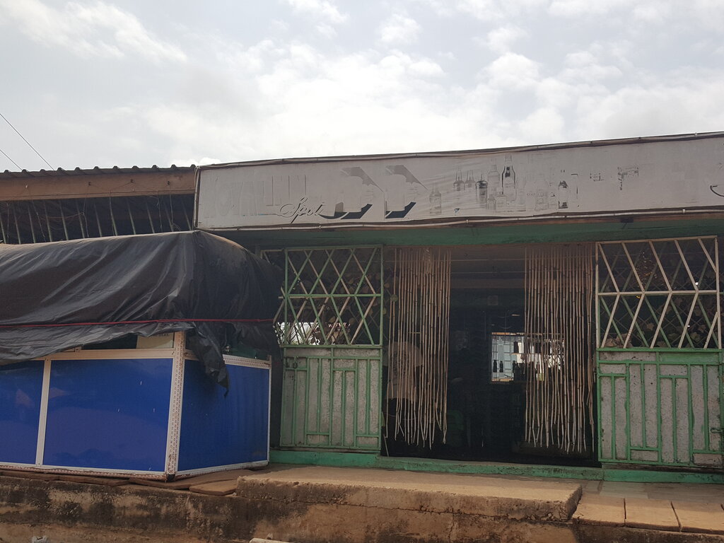 Bar Royal Inn spot, Dünya, foto