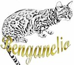 Benganelio (Kostromskoy Lane No:1), evcil hayvan yetiştiricileri  Nijni Novgorod'dan