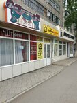 Curtain Shop (Toksan bi Street No:80), mefruşat  Petropavl'dan (Petropavlovsk'tan)