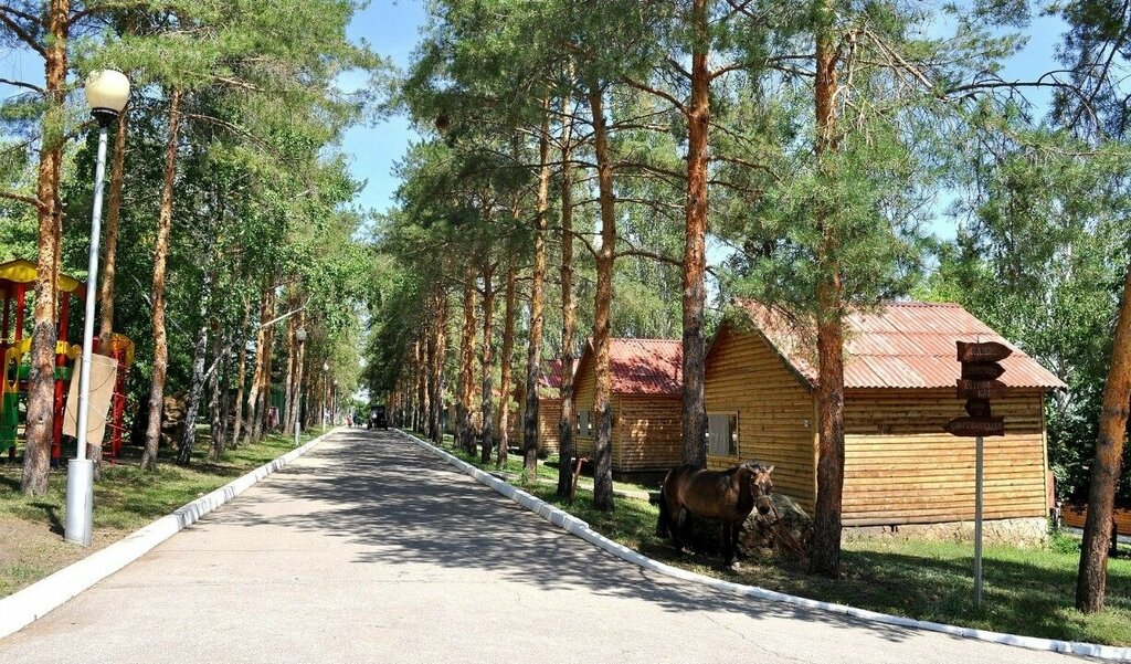 Otel База отдыха Авангард, Saratovskaya oblastı, foto