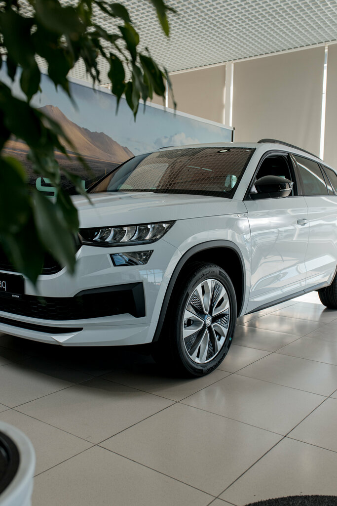 Otomobil satış galerileri Škoda, Mercury, Çimkent (Şımkent), foto