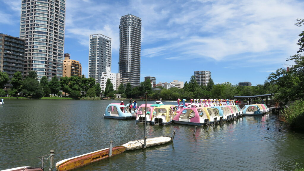 Turistik yerler ボート池, Tokyo, foto