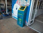 Оной (Sydykov Street No:251/1), ödeme terminali  Bişkek'ten