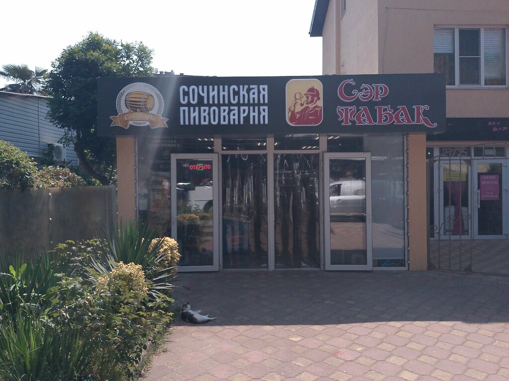 Bira dükkanı Солодар, Soçi, foto