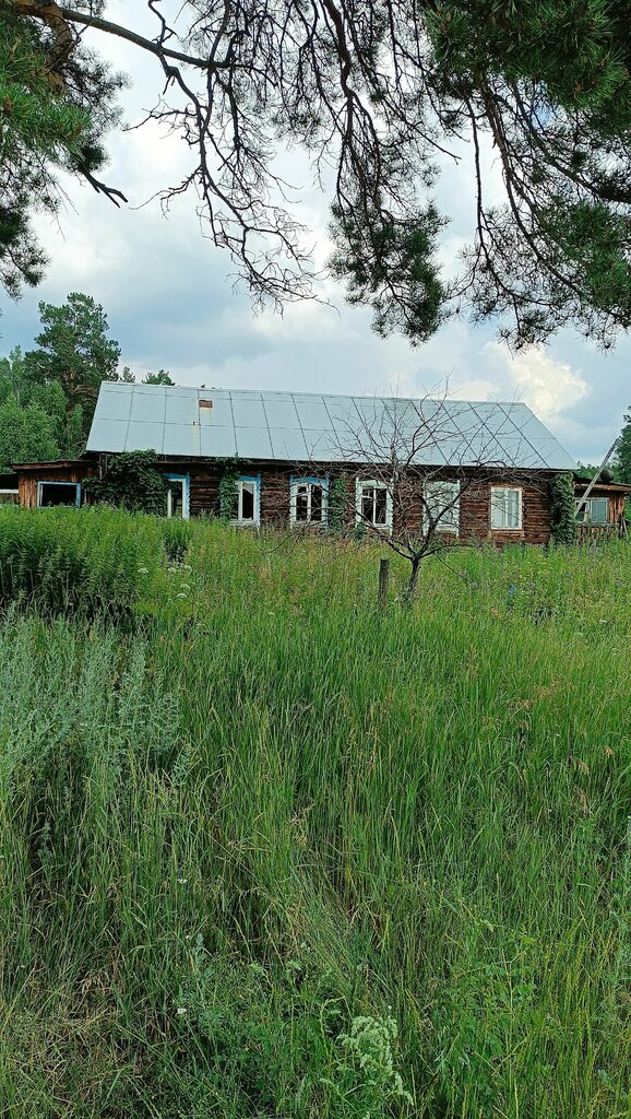 Orman işleri Кордон Михеевский, Çeliabinskaya oblastı, foto