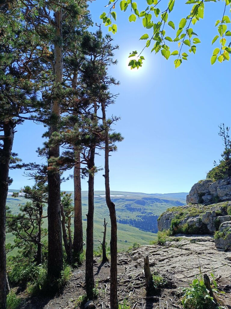 Seyahat acenteleri Agat-Marketing-Servis, Tuapse, foto