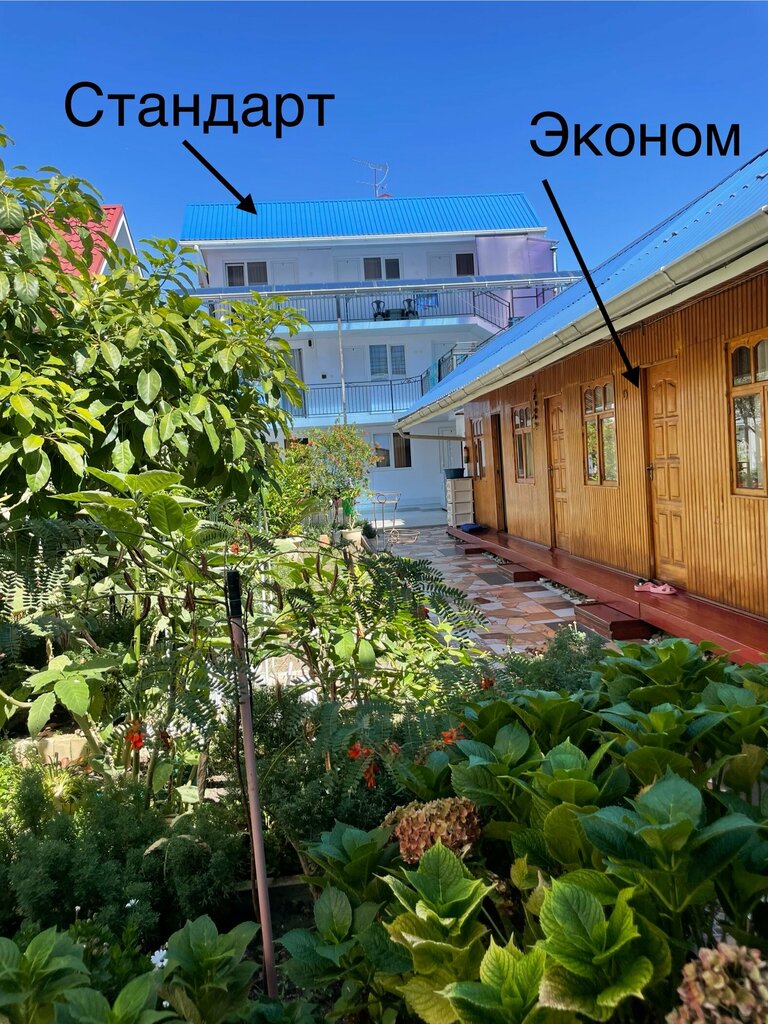 Konuk evi Гостевой дом У Зои, Soçi, foto