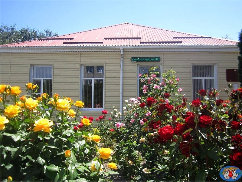 Sosyal yardım kuruluşları Novoselitsky integrated Center for social services of the population, Stavropolski krayı, foto