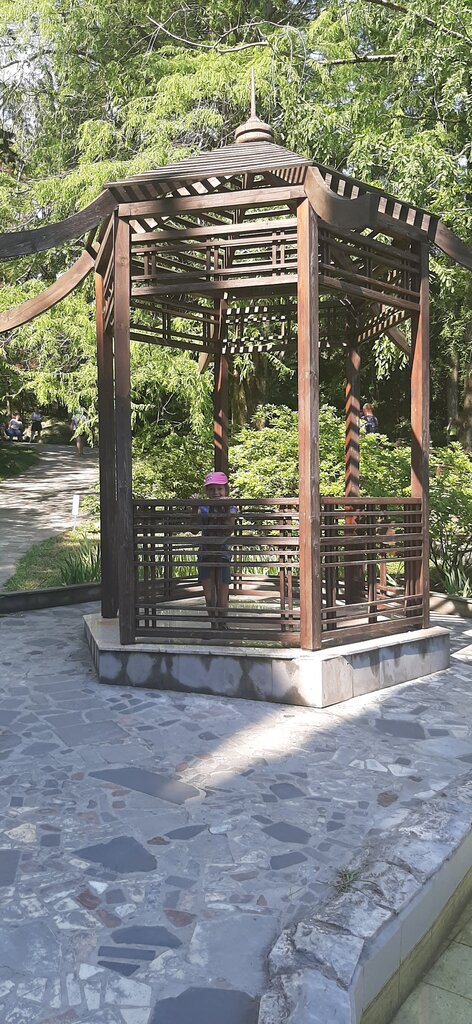 Turistik yerler The Greek pergola, Soçi, foto