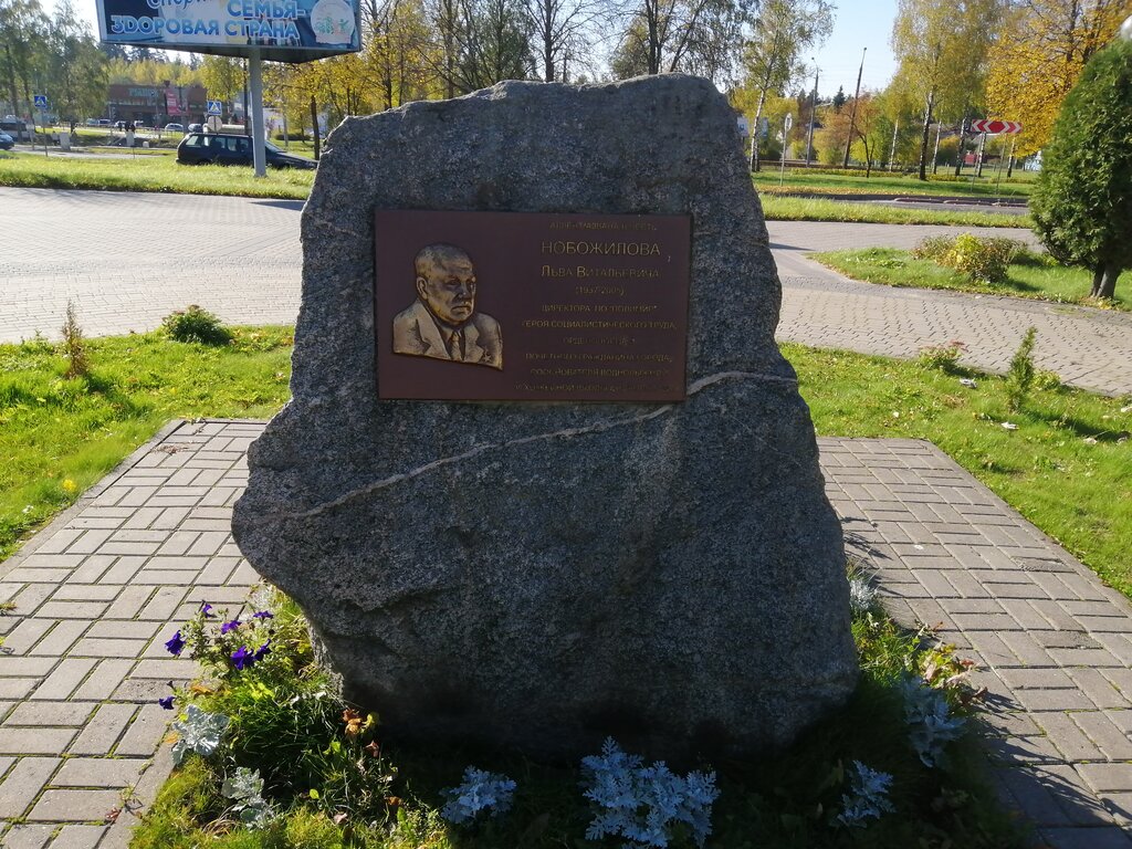 Anıt, heykel Новожилов Л.В., Navapolatsk, foto