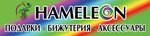 Хамелеон (ploshchad Lenina No:24), hediyelik eşya mağazaları  Şuya'dan