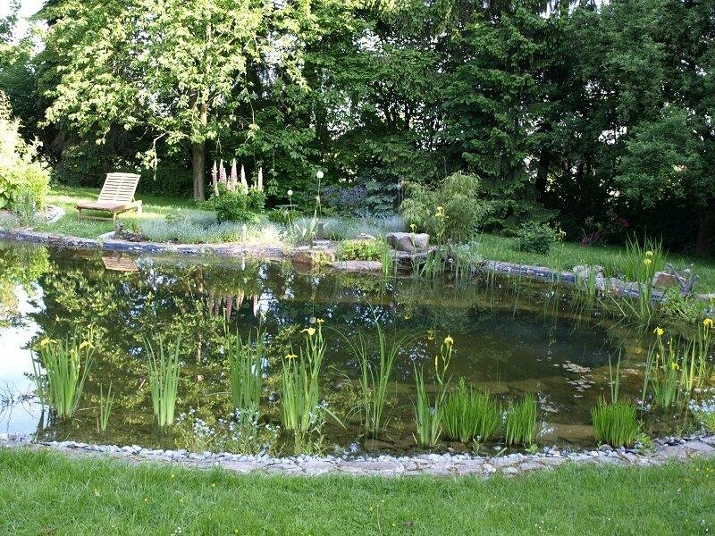 Peyzaj tasarımı Naturnaher Gartenbau Peter Albrecht, Kuzey Ren‑Vestfalya, foto
