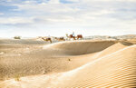 Red Dunes (24, England-X Street, England Cluster, Dubai International City, Mushraif, Dubai), seyahat acenteleri
