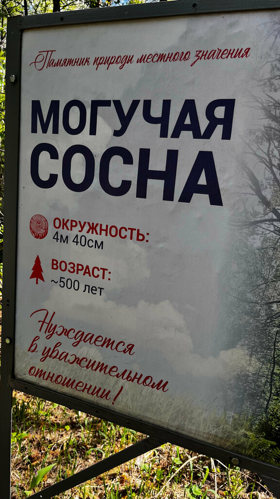 Turistik yerler Достопримечательность, Tomskaya oblastı, foto