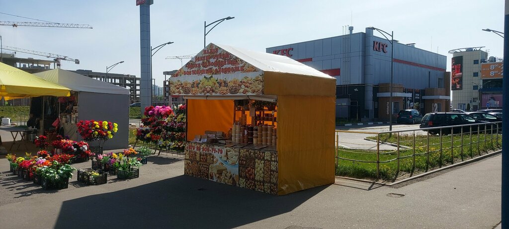 Kuruyemiş, atıştırmalık, kuru meyve Халва, орехи, Minsk, foto