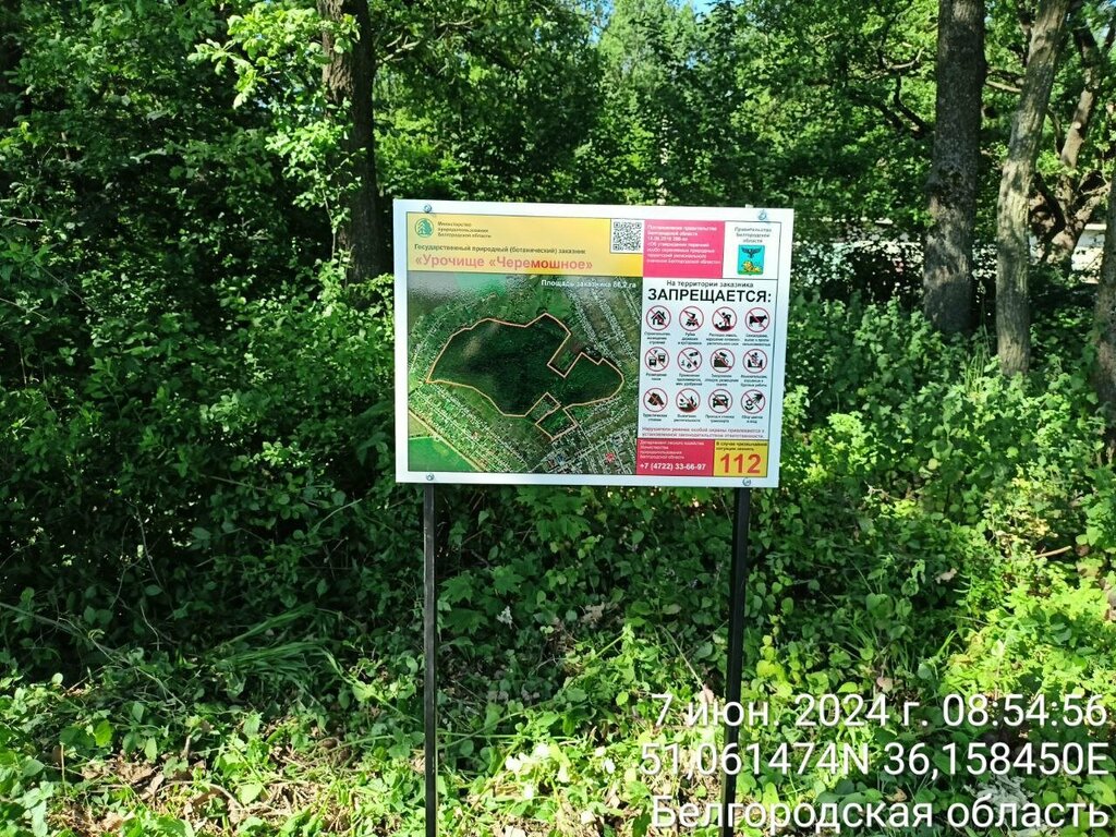 Doğa koruma alanı заказник Черемошное, Belgorodskaya oblastı, foto