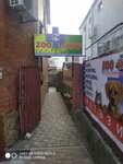 ЗооПлюс (Krasnaya ulitsa No:73, stanitsa Rayevskaya), petshop  Krasnodarski krayından