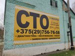 шиномонтаж (Lieninskaja Street No:226), oto lastik tamiri  Nesvizh'ten