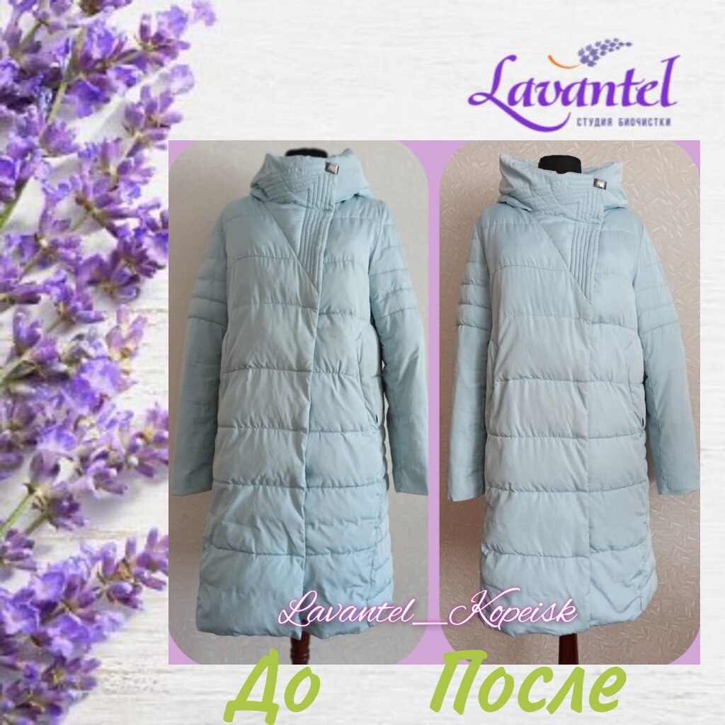 Kuru temizlemeciler Lavantel, Kopeysk, foto