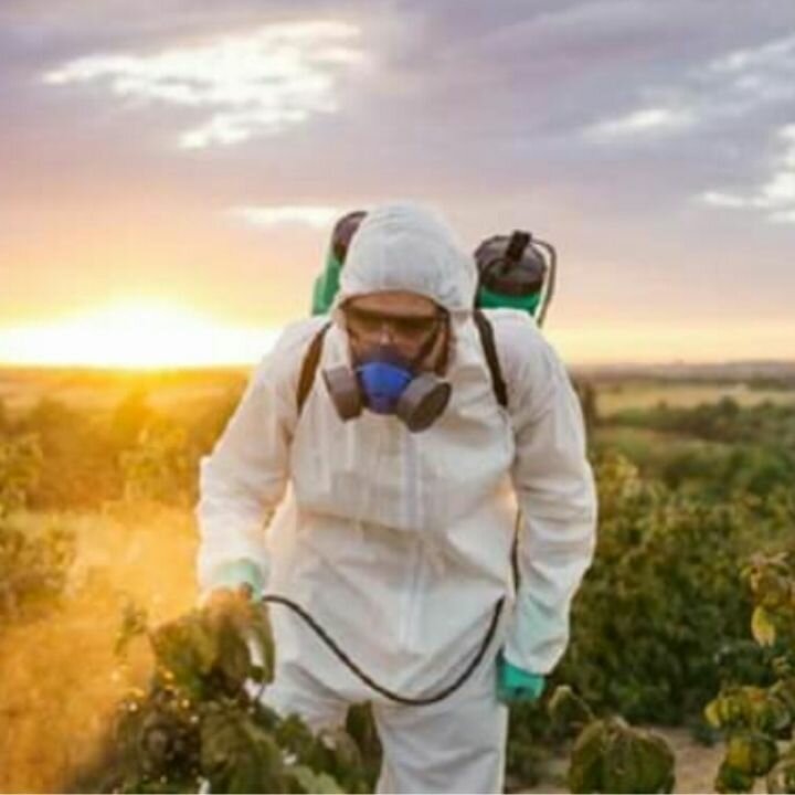 Haşere ilaçlama firmaları Control de Plagas Sanidad Ambiental, , foto
